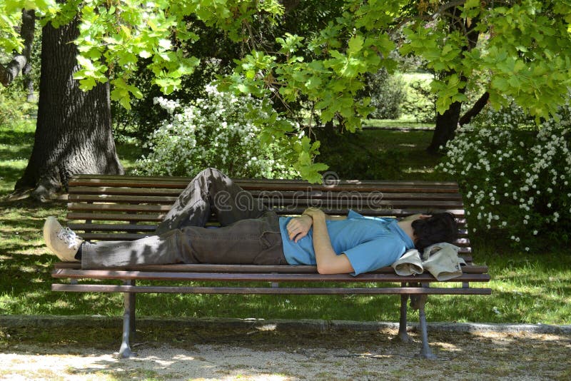 Having a nap stock image. Image of park, leave, young - 54589231