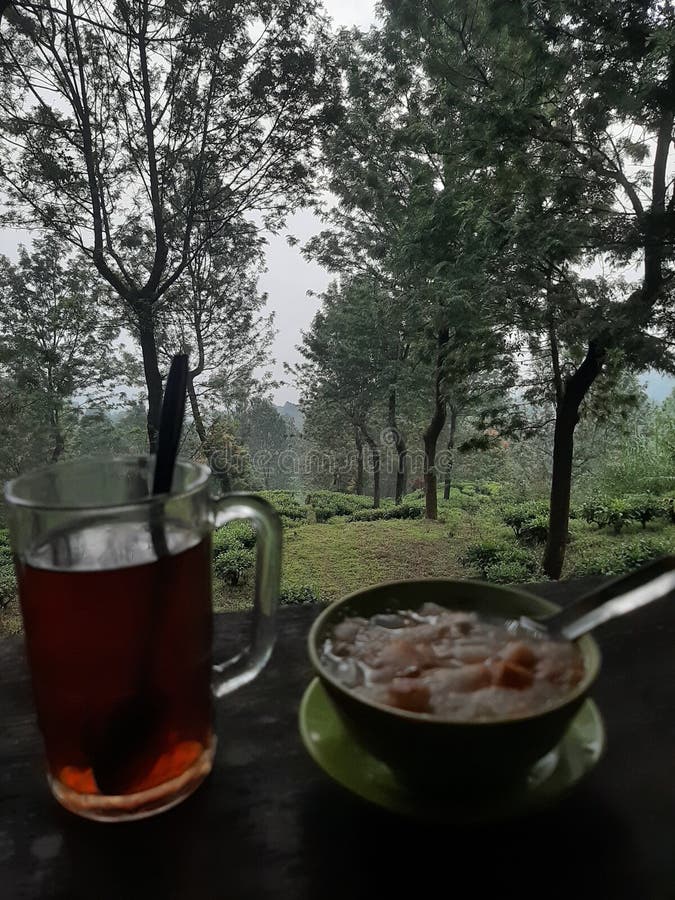 Having Tea in the Tea Garden, Perfect Stock Photo - Image of wildlife ...
