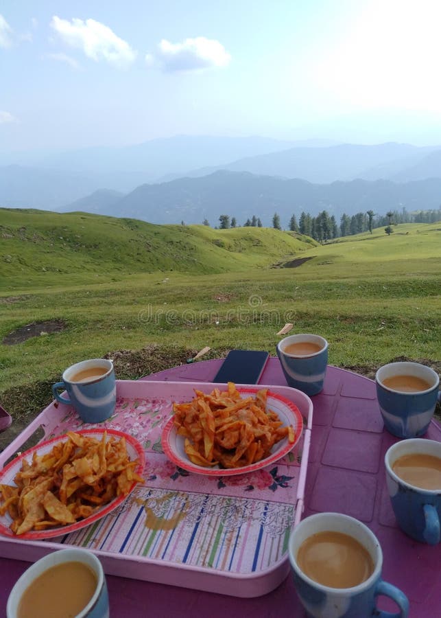Having Tea with Some Snacks Stock Image - Image of meadow, picnic ...