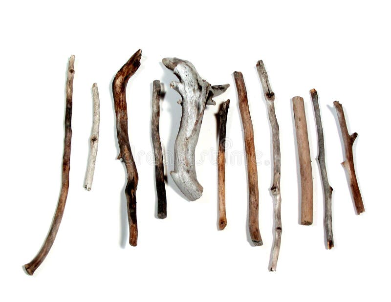 Granris fotografering för bildbyråer. Bild av vintergrön - 45780719