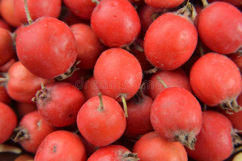 Haw stock image. Image of superfood, vegetable, schisandra - 26125809