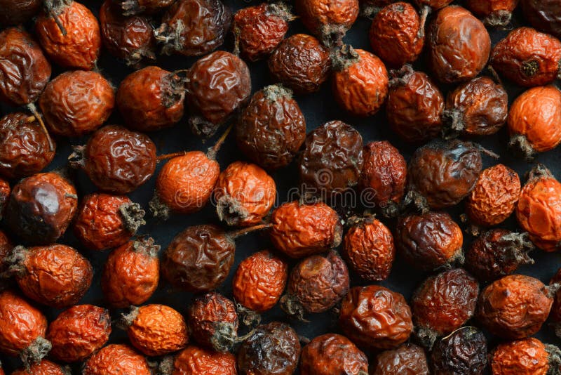 Haw dry macro stock photo. Image of ingredient, rose - 167506040