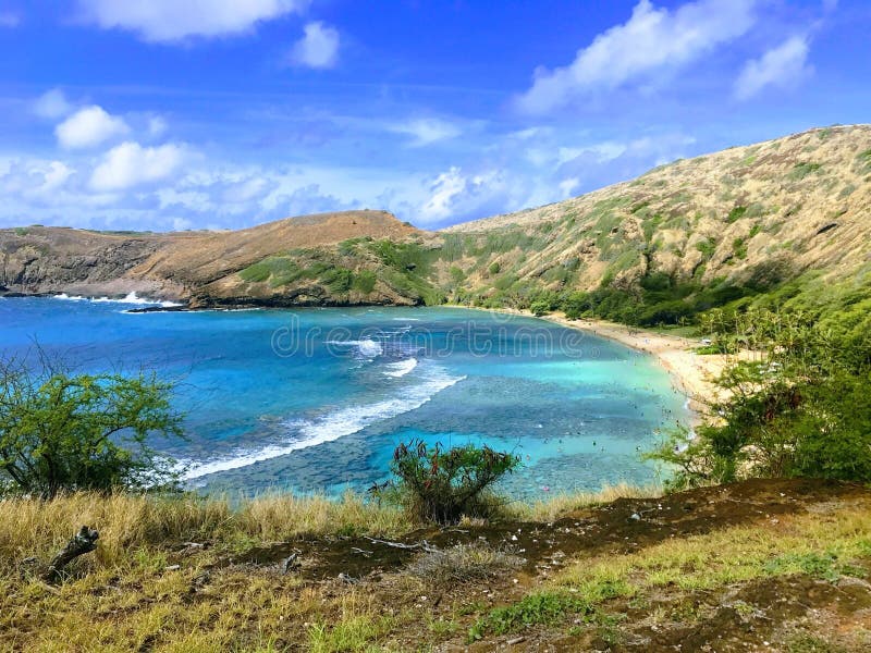 Hawaii stock image. Image of amazing, green, hawaii - 113441901