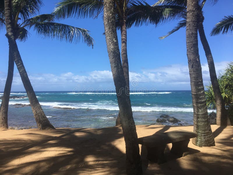 Hawaii Beach Oceanview stock image. Image of sand, hawaii - 181308557