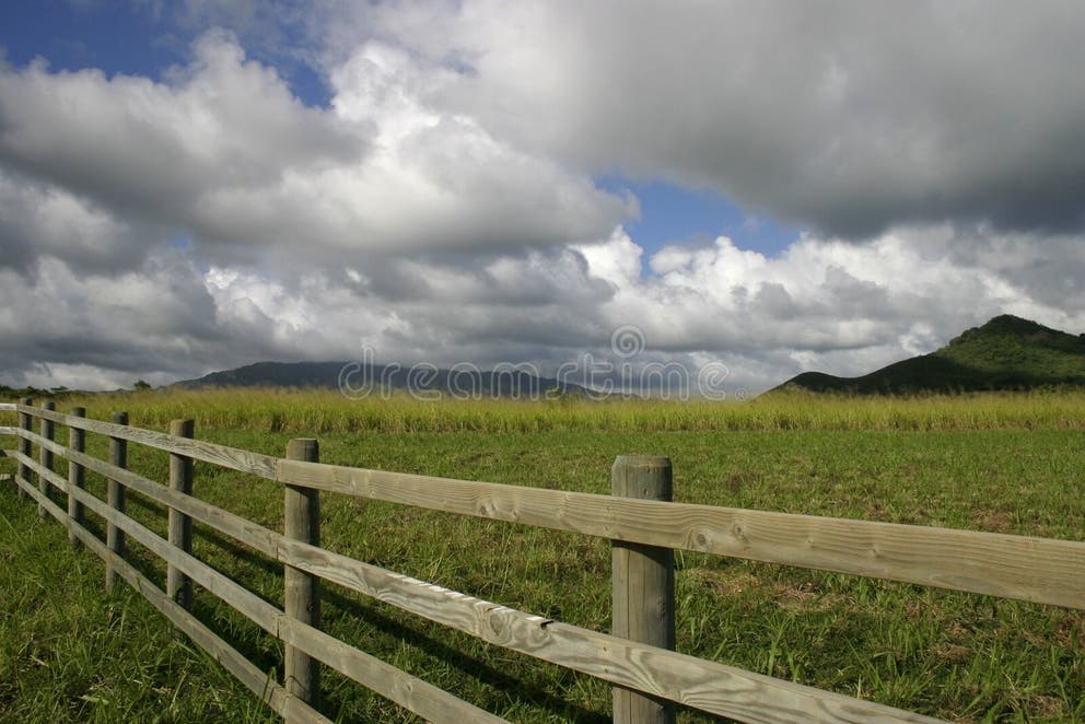 Hawaii ranch stock image. Image of posts, grass, ranch - 983161