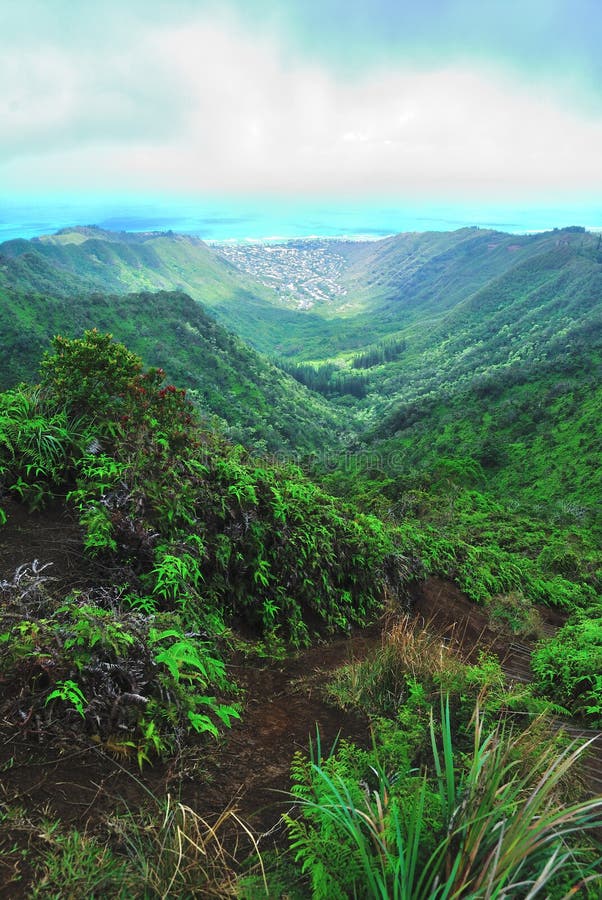 Hawaii Ridge Hike stock image. Image of travel, vacation - 25219963