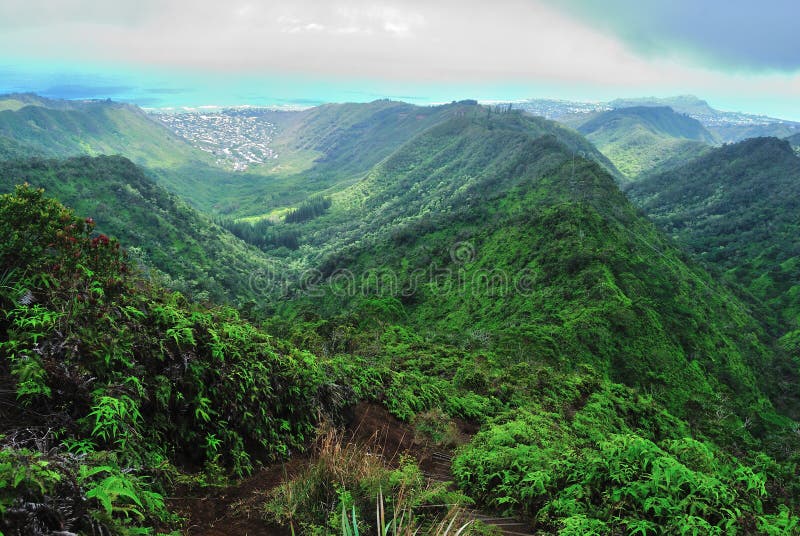 Hawaii Ridge Hike stock photo. Image of green, tropical - 25219966