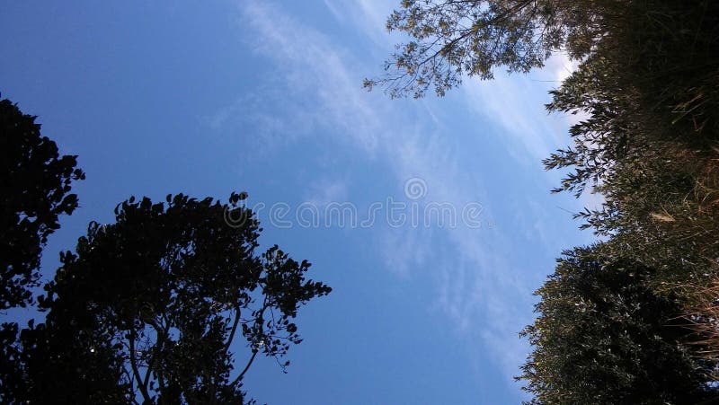 Hawaii sky stock photo. Image of island, blue, hawaii - 97978778