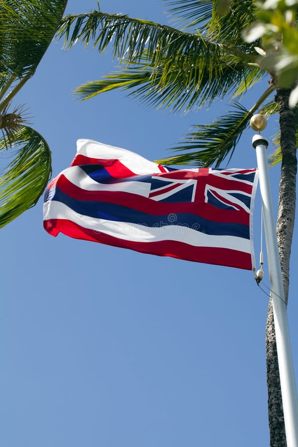 Hawaii State Flag on Pole with Palm Trees Stock Image - Image of green ...