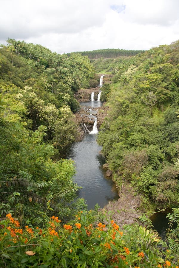Hawaii Waterfall and Valley 1 Stock Image - Image of flow, river: 9468143