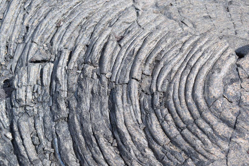 Hawaiian Lava crust stock photo. Image of floor, plant - 274757338