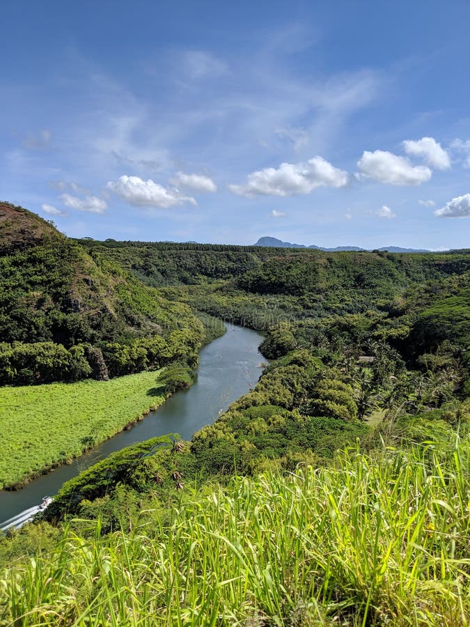 Hawaiian river delta stock photo. Image of delta, hawaiian - 165694398