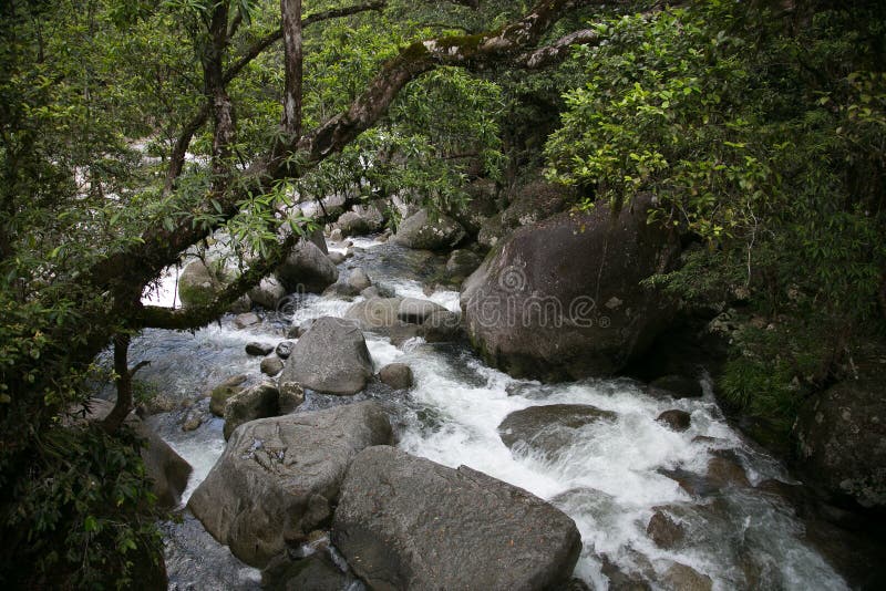 Stream Exuded Stock Photos - Free & Royalty-Free Stock Photos from ...