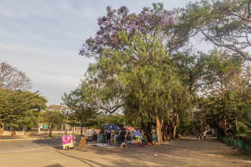 HAWASSA, ETHIOPIA - JANUARY 26, 2020: View of a Street in Hawassa ...