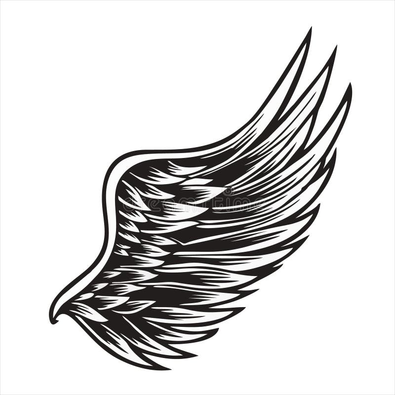 Hawk Bird Icon Isolated on White Background. Hawk Bird Icon in Trendy ...