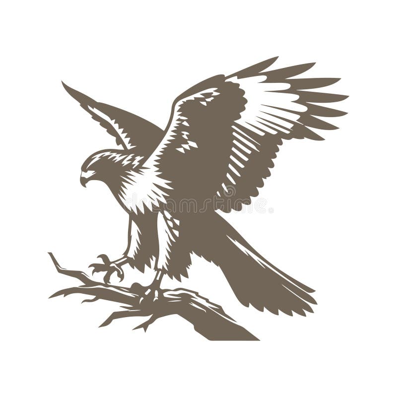 Hawk Bird Vector Art Style Out Line Design Stock Vector - Illustration ...