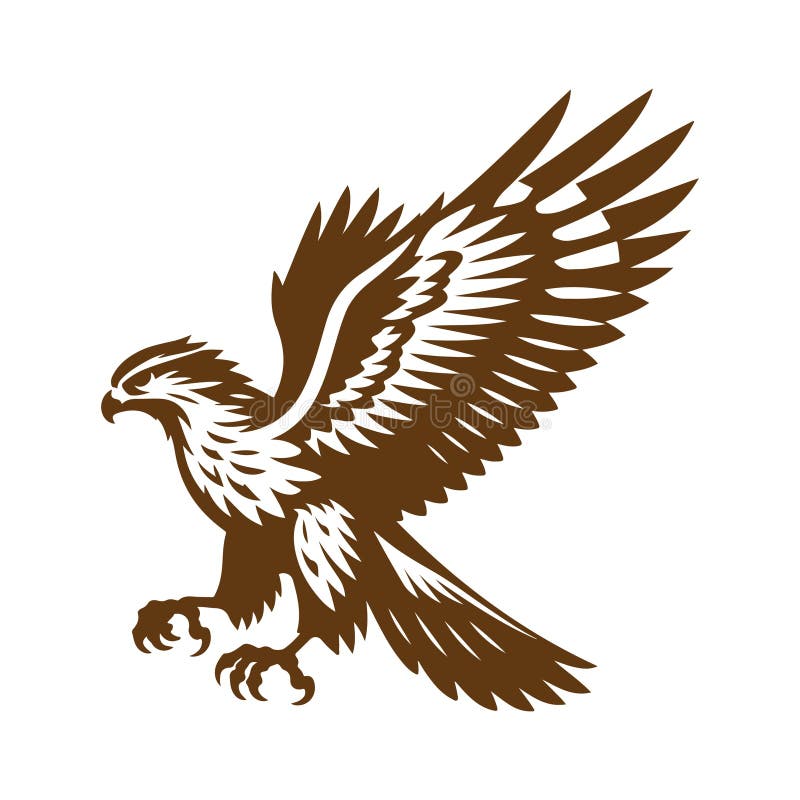 Hawk Line Drawing Stock Illustrations – 4,468 Hawk Line Drawing Stock ...