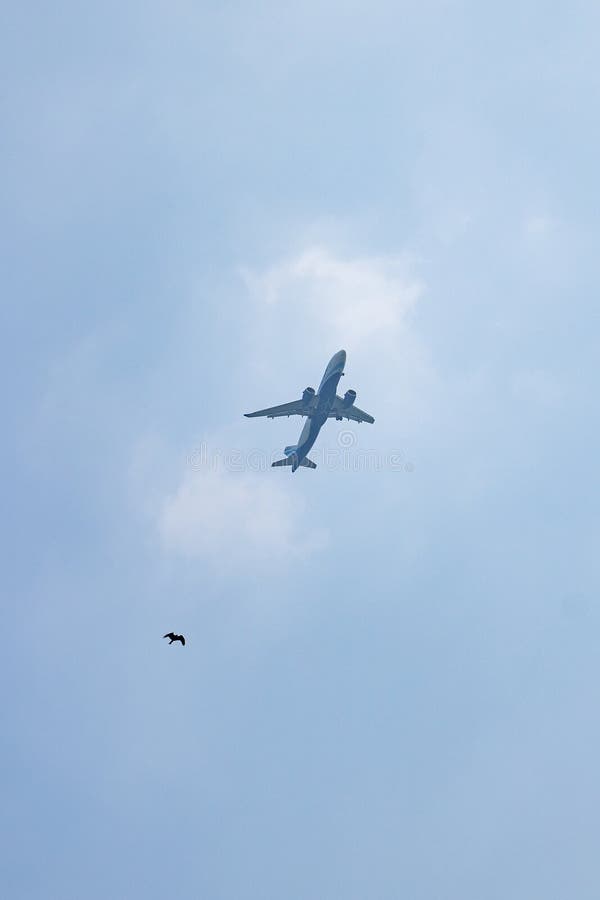 Private Jet Vector Icon Stock Photos - Free & Royalty-Free Stock Photos ...