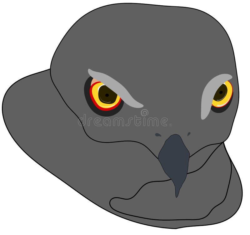 Hawk Face Sharp Colours Vector Illustration Icon Logo Stock Vector ...