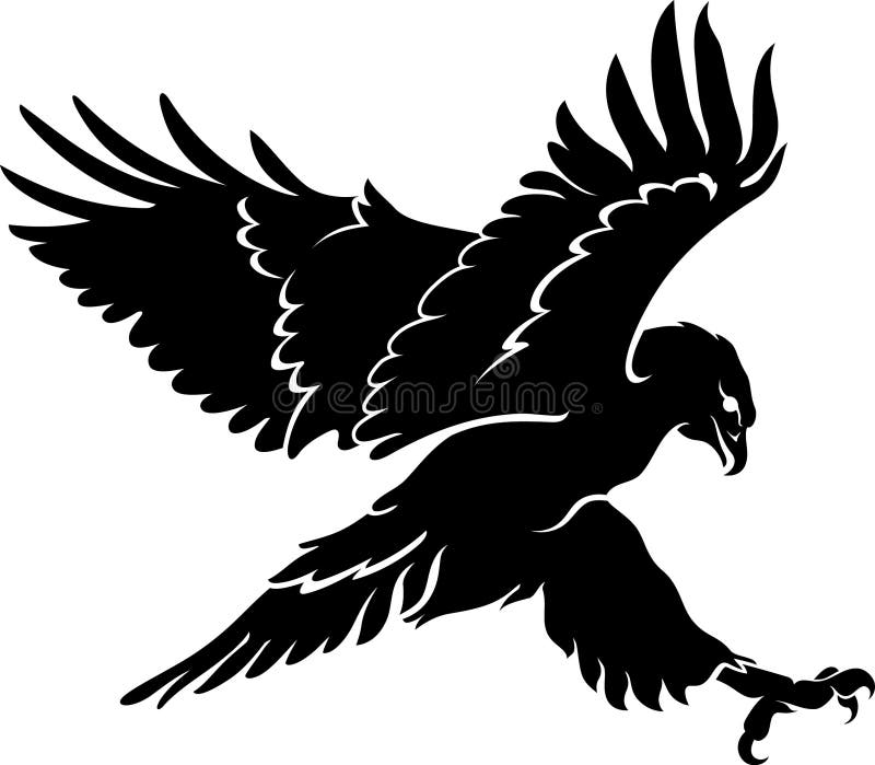 Hawk Clip Art Black And White
