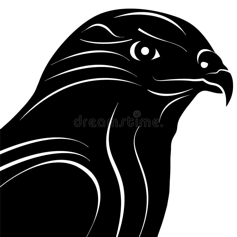 Hawk Head Vector Illustration. Stock Vector - Illustration of nature ...