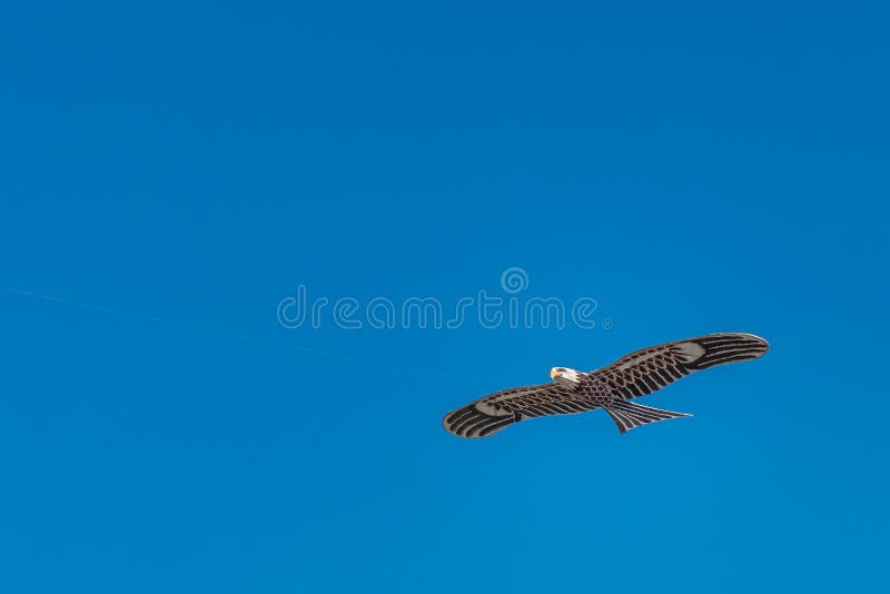 Hawk Kite Flying in Blue Sky Stock Photo - Image of colorful, color ...