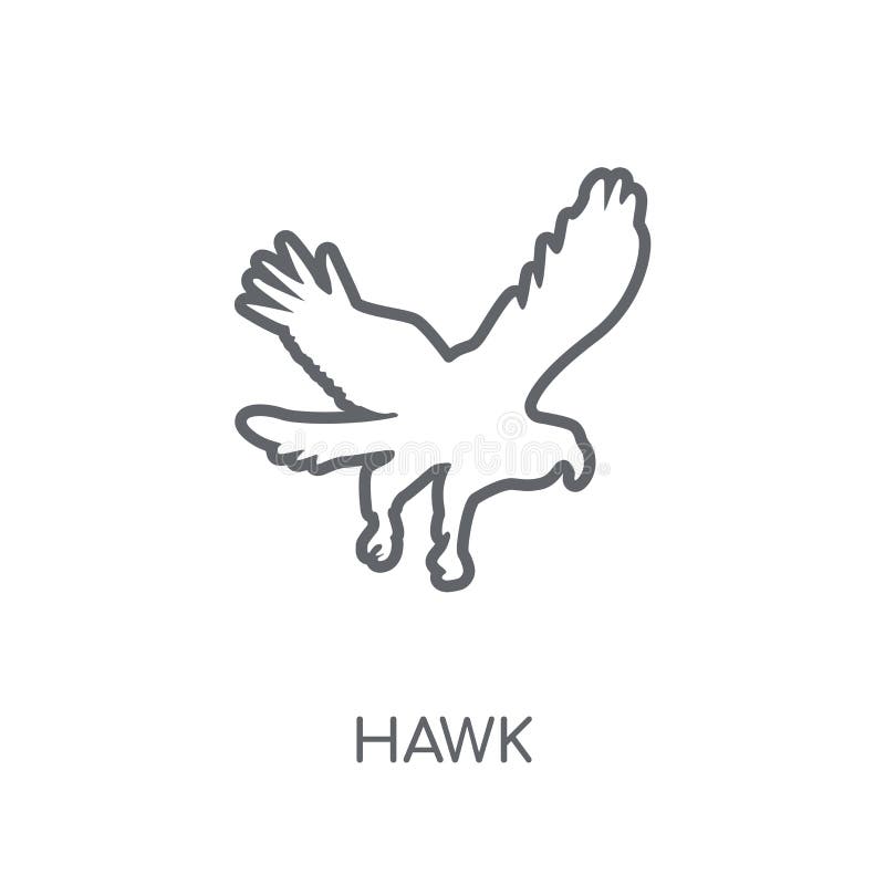 Hawk Linear Icon. Modern Outline Hawk Logo Concept on White Back Stock ...