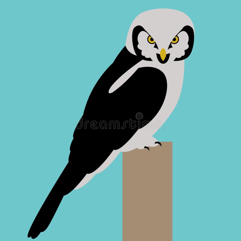 Hawk Owl Bird Face Vector Illustration Flat Style Profile Stock Vector ...