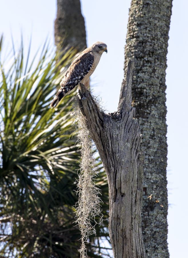 Mikephotos - Photographer profile