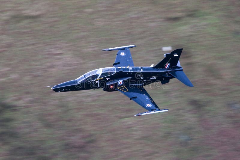 Hawk t2 editorial photography. Image of flyingm, valley - 23142522