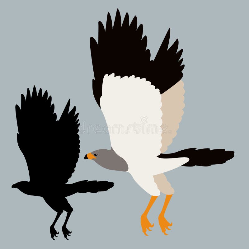 Hawk Profile Vector Stock Illustrations – 381 Hawk Profile Vector Stock ...