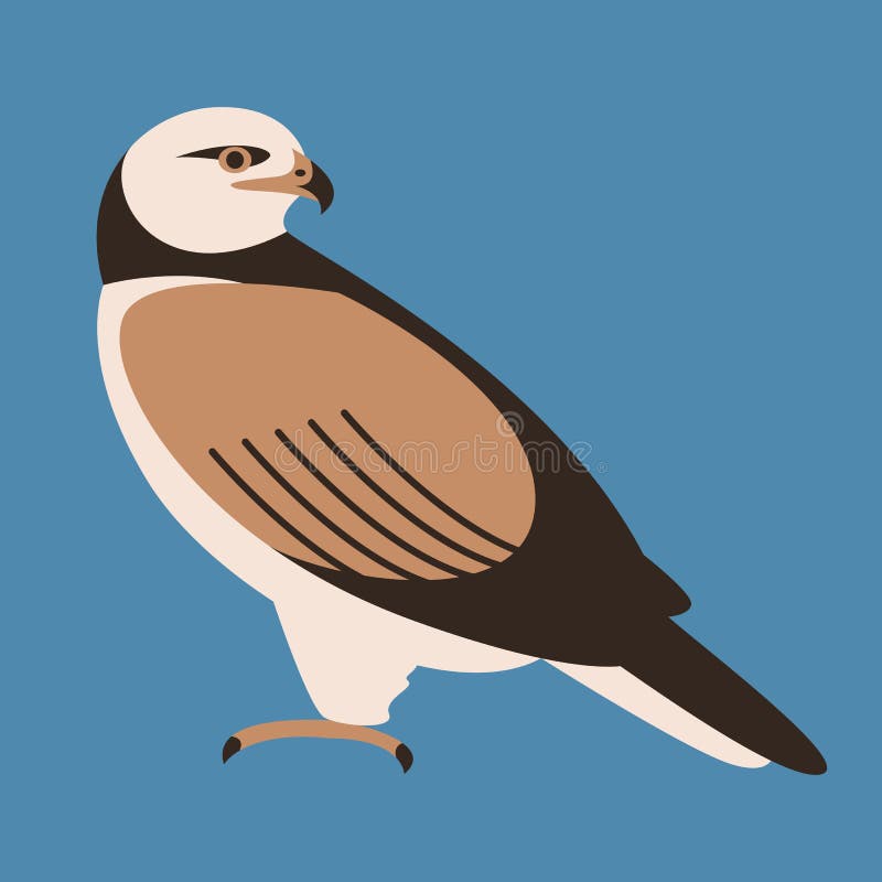 Hawk , Vector Illustration,flat Style, Profile Side Stock Vector ...