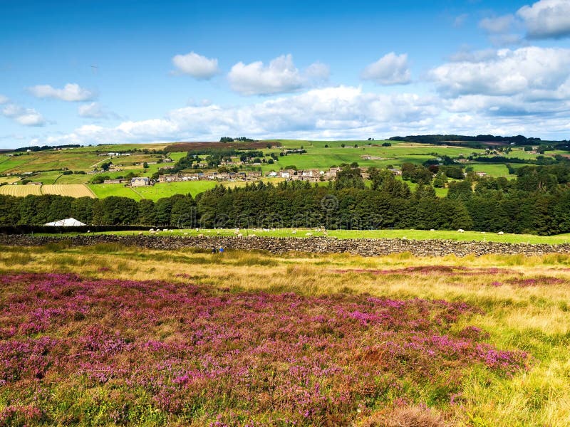 Haworth Moor landscape stock photo. Image of tranquil - 290149706