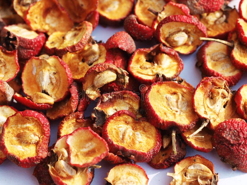 Hawthorn fruit dry stock photo. Image of aroma, viscid - 34849386