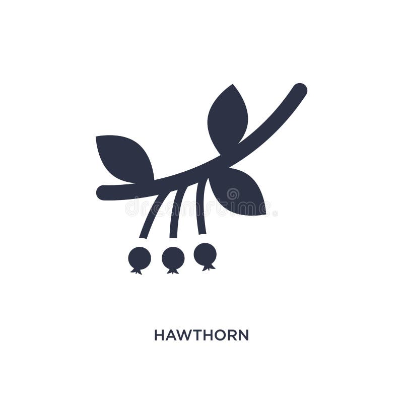 Hawthorne Tree Stock Illustrations – 33 Hawthorne Tree Stock ...