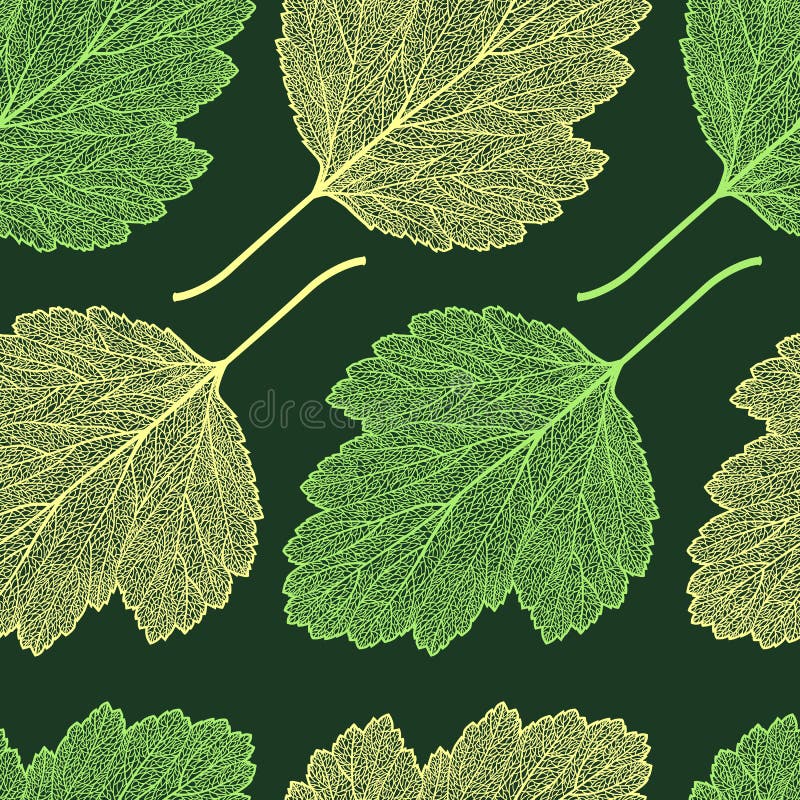 Leaf Skeleton Pattern Stock Illustrations – 2,102 Leaf Skeleton Pattern ...