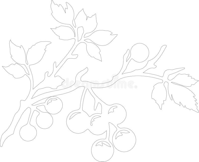 Hawthorn Outline Silhouette Generative Ai Stock Vector - Illustration ...