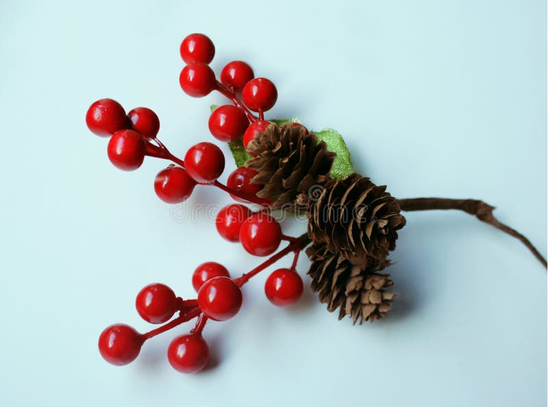 Hawthorn Sprig with Red Berries and Pine Cones Stock Image - Image of ...
