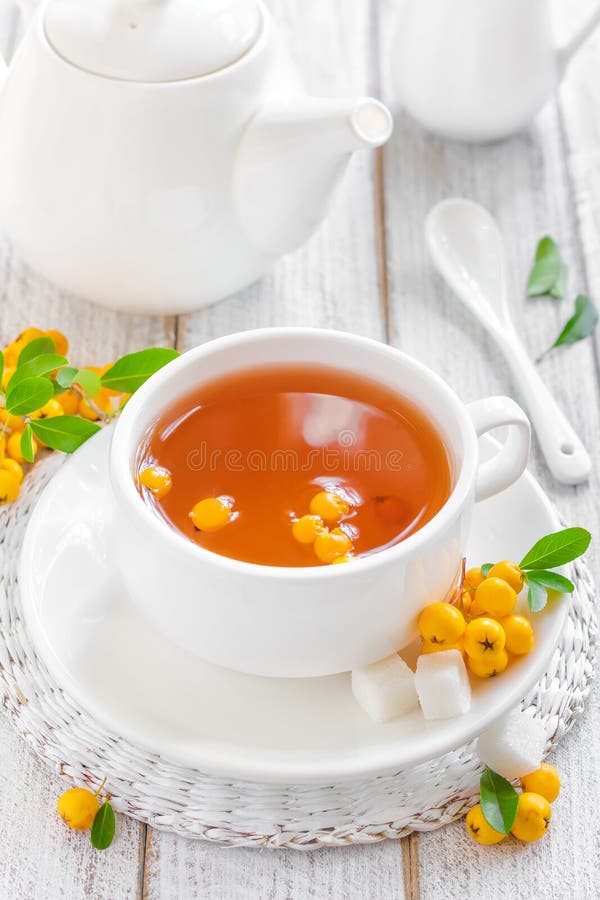Hawthorn tea stock photo. Image of green, soothing, break - 33794276