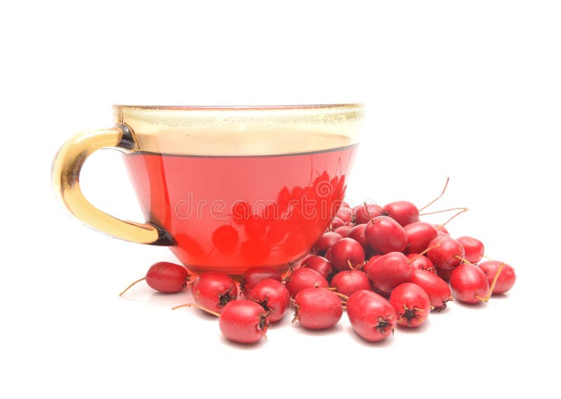 Hawthorn Tea and Ripe Fruits of Hawthorn Stock Photo - Image of common ...