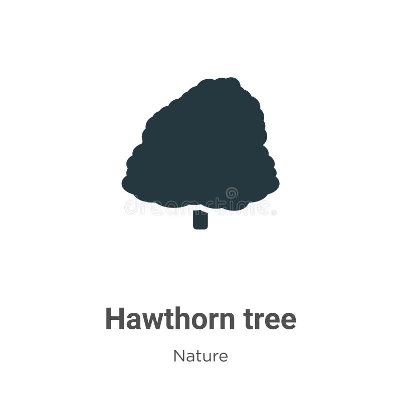 Hawthorn Tree Vector Icon on White Background. Flat Vector Hawthorn ...