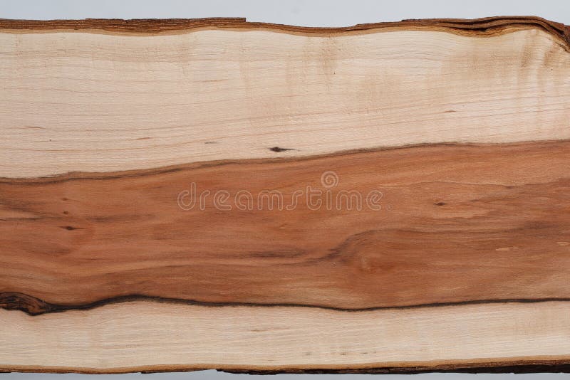 Hawthorn wood texture stock photo. Image of lumber, timber - 123065968