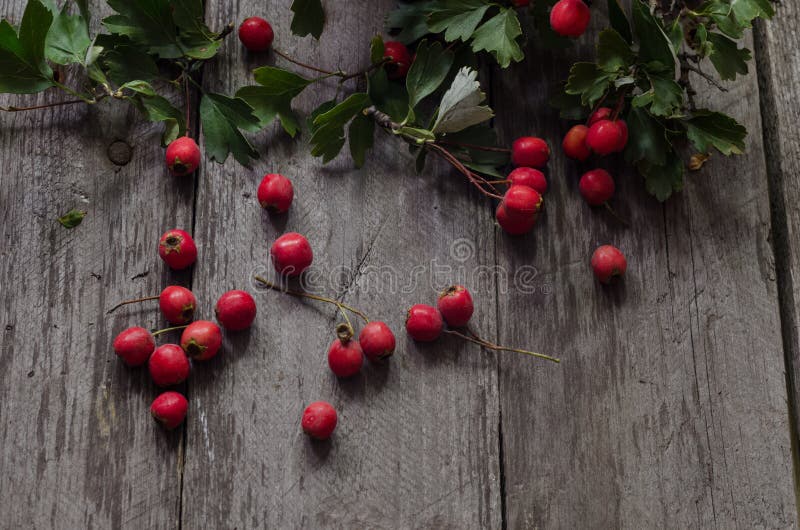 Hawthorn on Wooden Table Background Stock Photo - Image of decoration ...