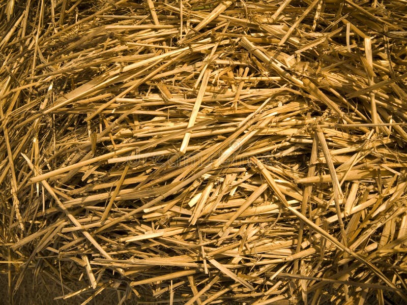 WC stock image. Image of design, tile, colored, fresh - 12652619