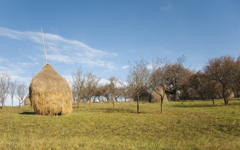 Hay stock image. Image of field, countryside, europe - 11662981