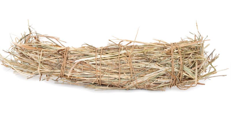 A bunch of hay stock photo. Image of country, harvest - 4933682