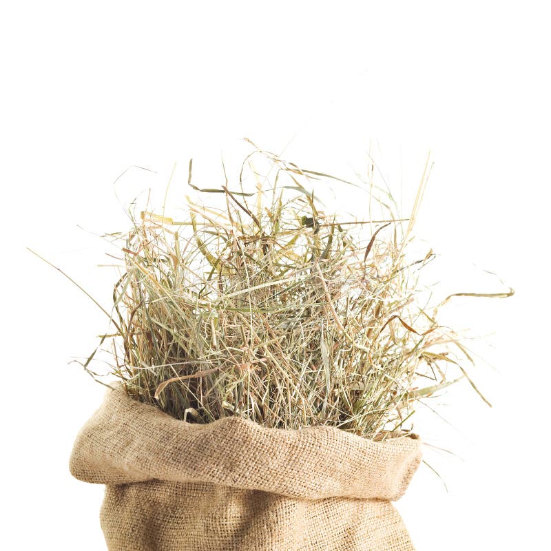 A bunch of hay stock photo. Image of country, harvest - 4933682