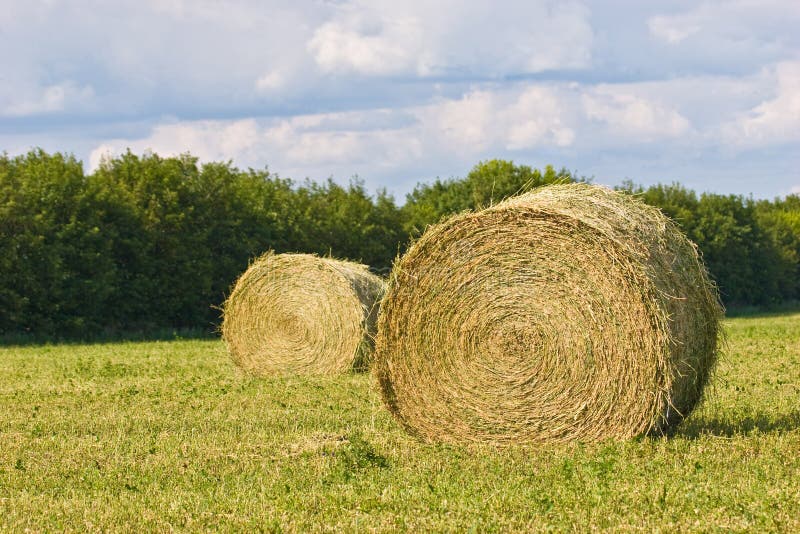 Stacks of Hay stock photo. Image of harvest, farm, rustic - 3096772