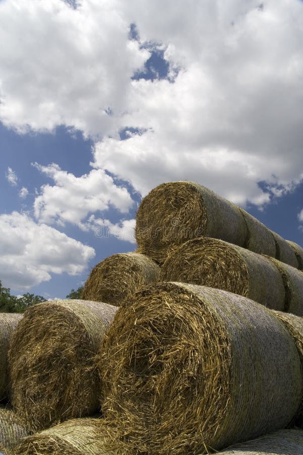 Hay stock photo. Image of cloudy, agriculture, feed, meadow - 6575742