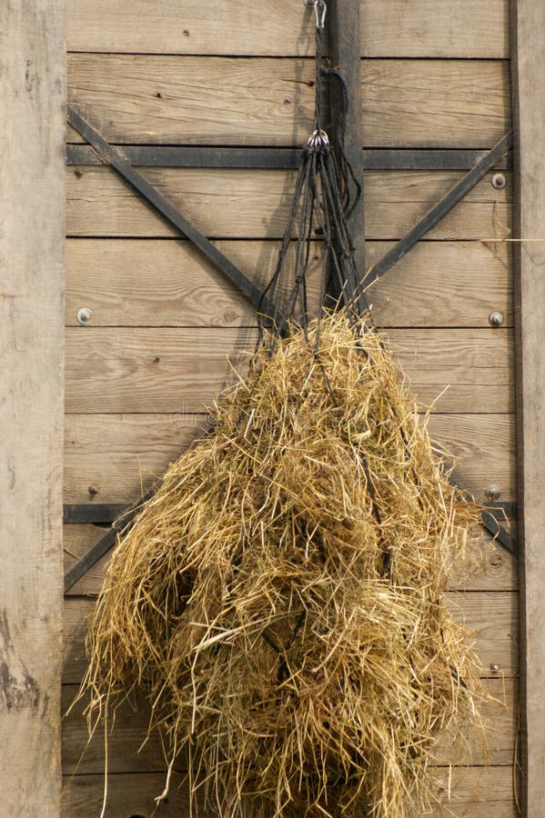 Hay As Forage Hung in a Net Stock Image - Image of farming, farm: 20626895